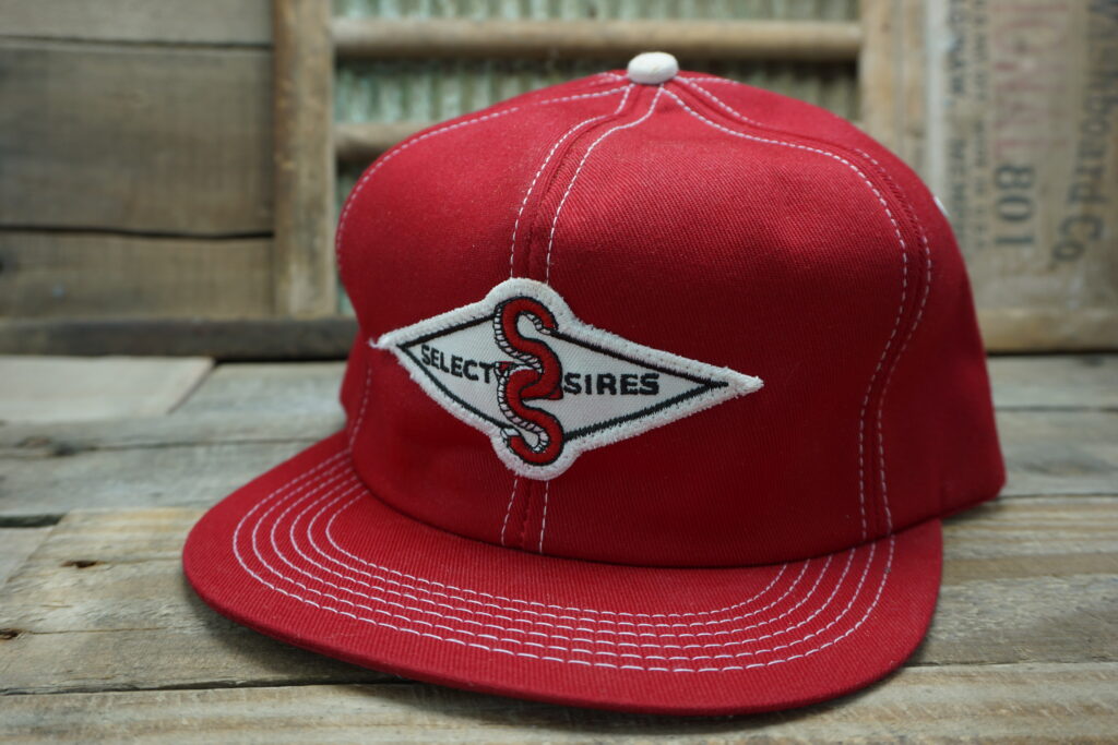 Select Sires Hat - Vintage Snapback Warehouse